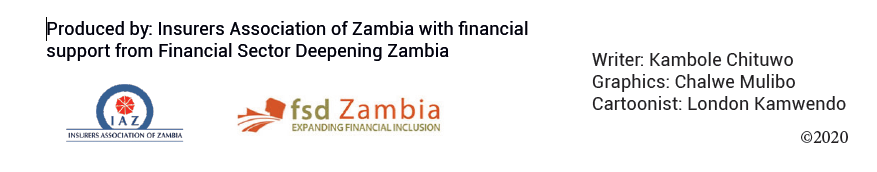 SPIN | Insurers Association of Zambia